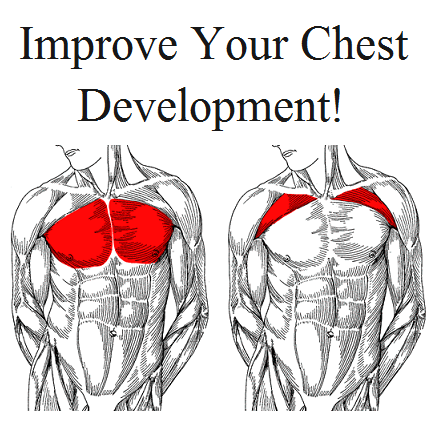 Improve Your Chest Development! | Muscular Strength