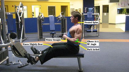 Seated Low Row (LF Cable)