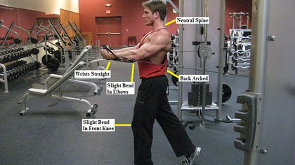 Middle Cable Chest Fly (LF Cable)