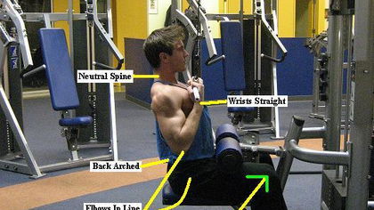 Reverse Lat Pulldown (LF Cable)